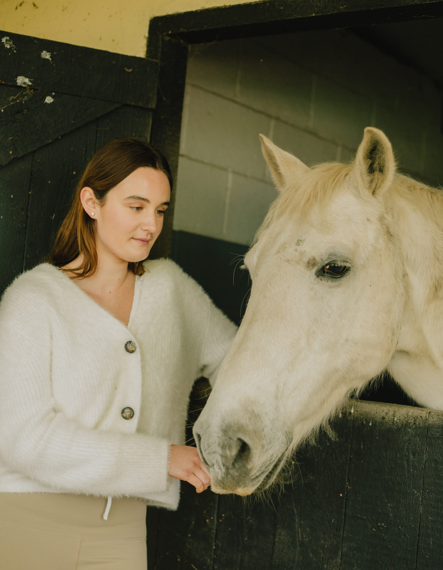 Introducing Lauren Ewer - bmodel